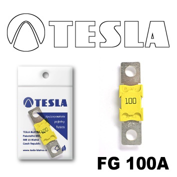 TESLA Предохранитель FG100A10